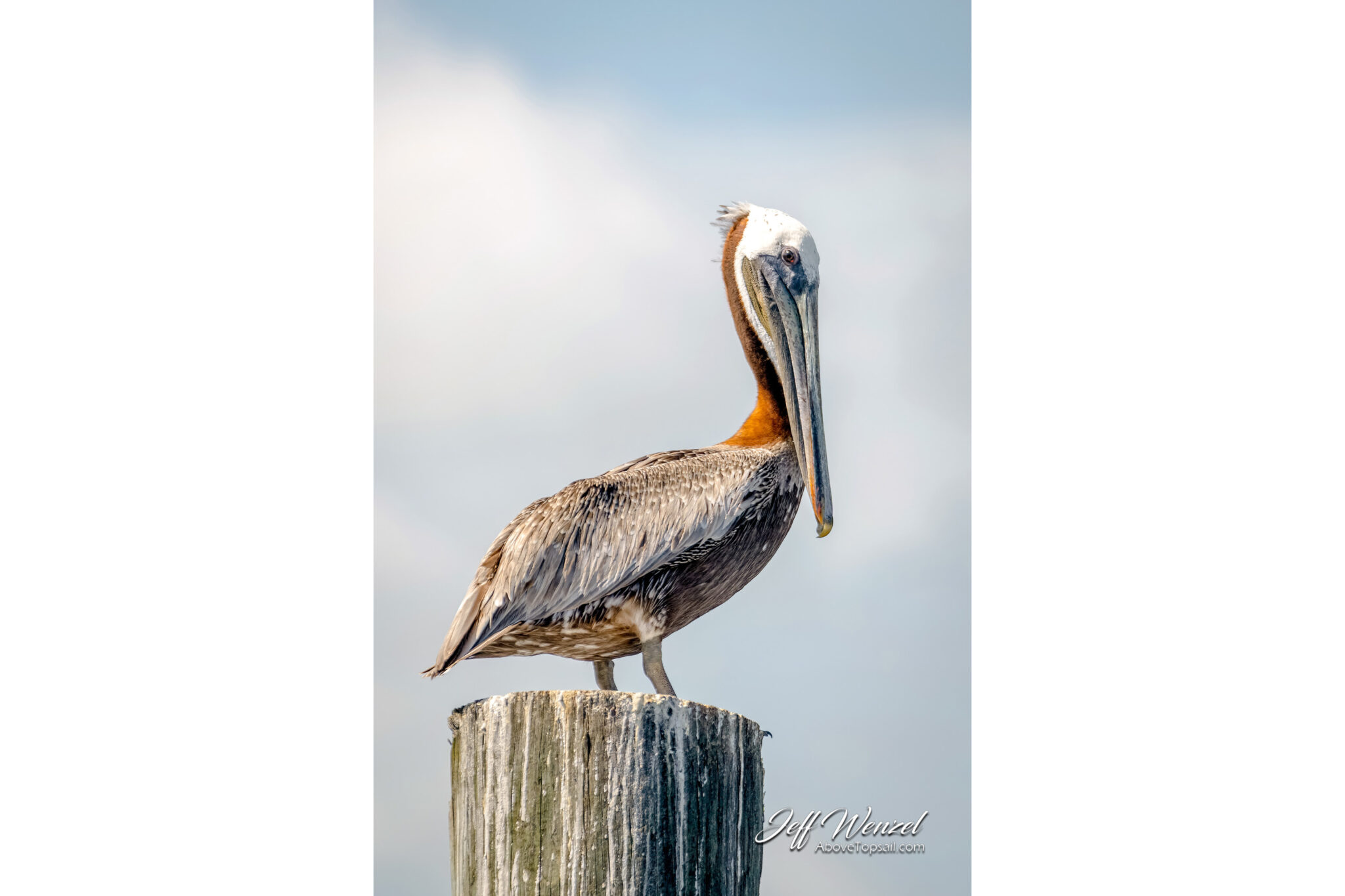 Products – Above Topsail